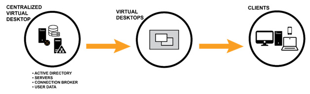 » Information Technology